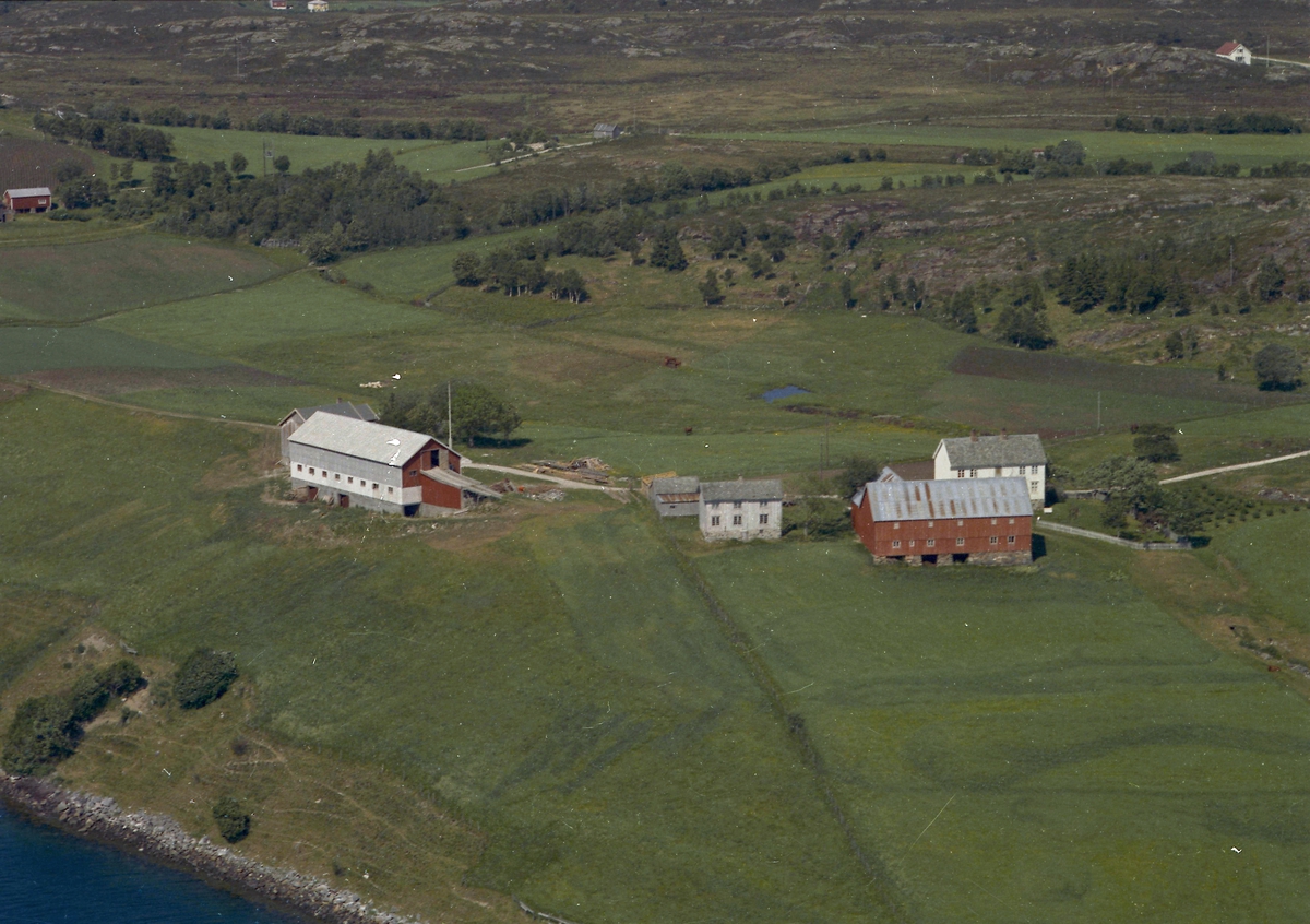 Bilder: Gården Hofstad 31/1, Hitra: Hitterslekt